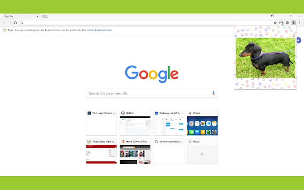 Dog on Demand para Google Chrome - Extensión Descargar