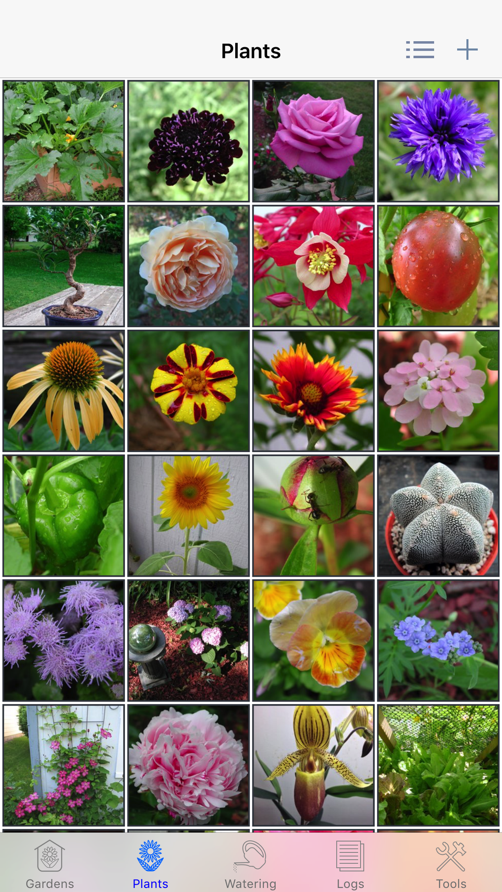 Plant Album for iPhone - Download