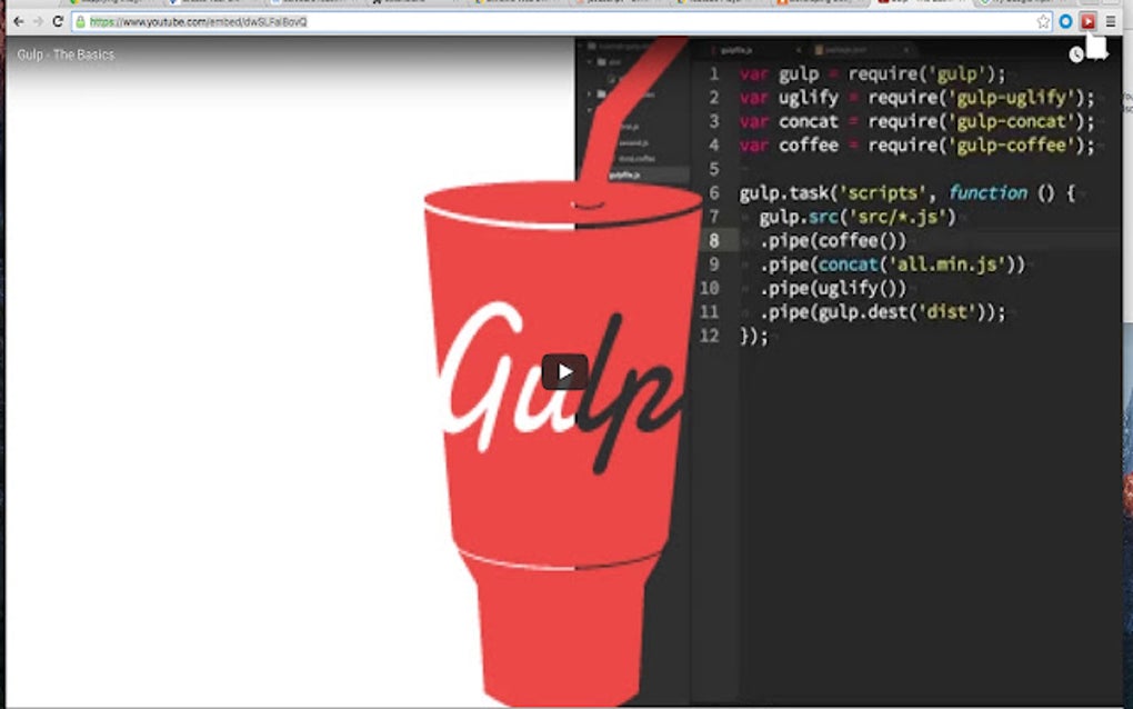 Youtube Player Maximizer 网页全屏 for Google Chrome - Extension Download