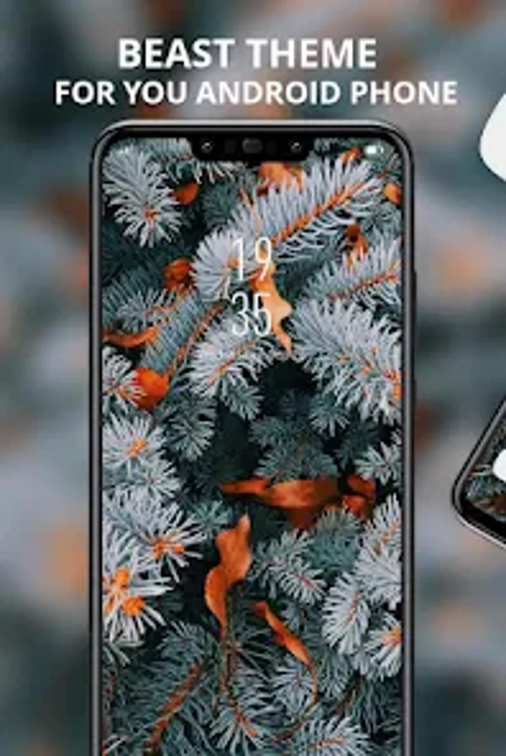 Flower theme black shark for G for Android - Download