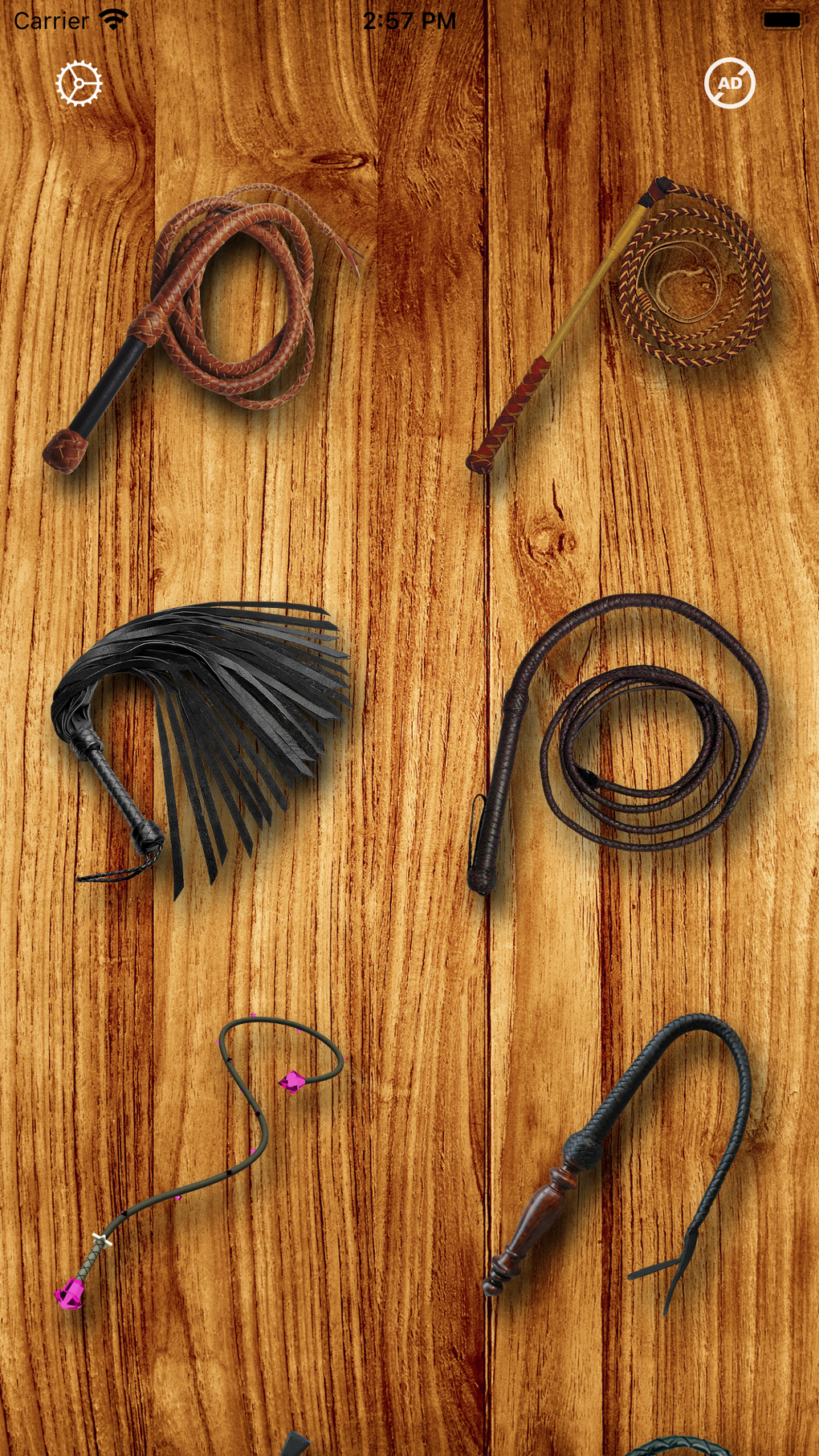 Whip Simulator - Pocket Whip for iPhone - Download