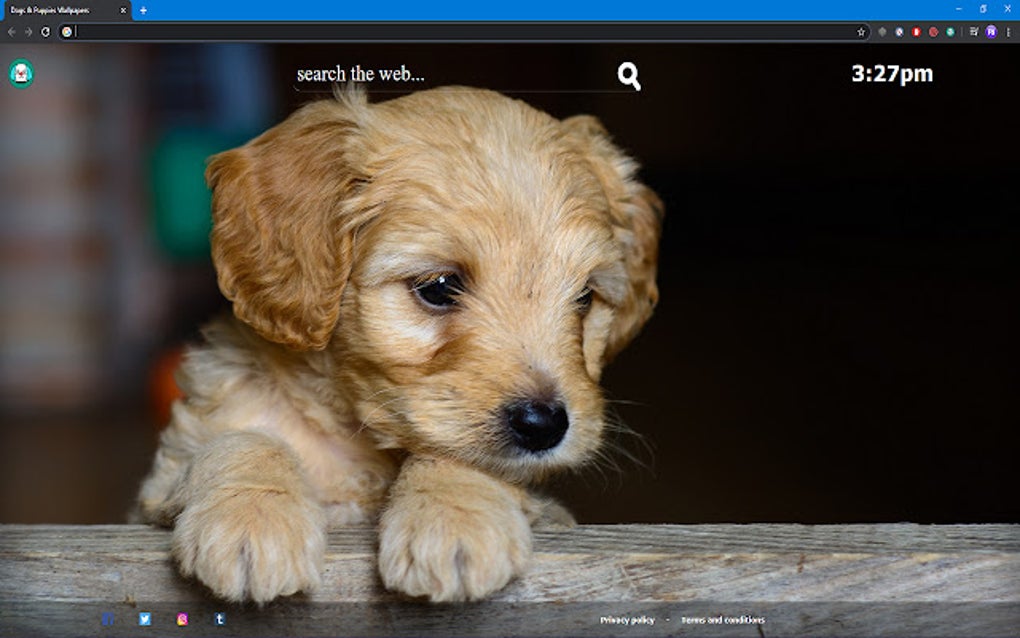 Dogs & Puppies Wallpapers pour Google Chrome - Extension Télécharger