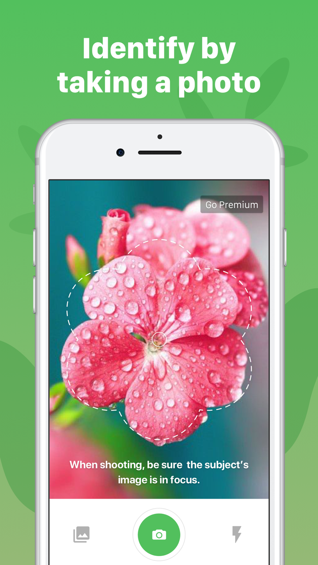 Plant Identification for iPhone - Download
