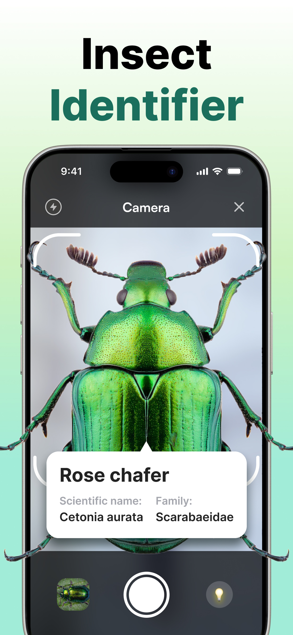 Insect Identifier: Bug Finder para iPhone - Descargar