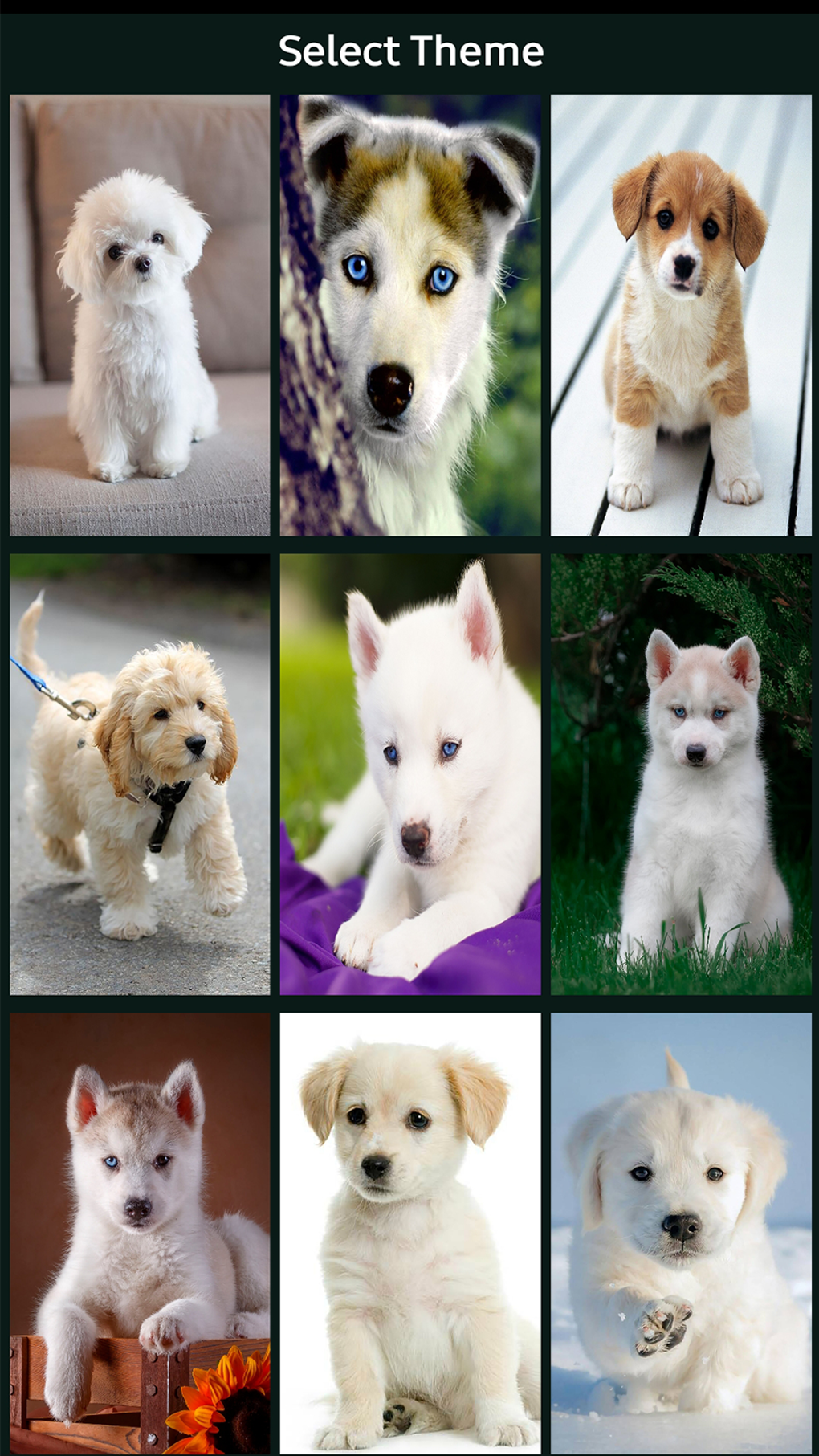 Puppy Dog Lock Screen for Android - Download