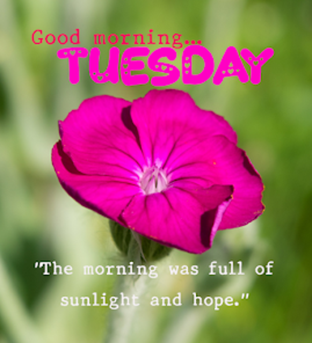 Android 용 Good Morning GIF Images - 다운로드