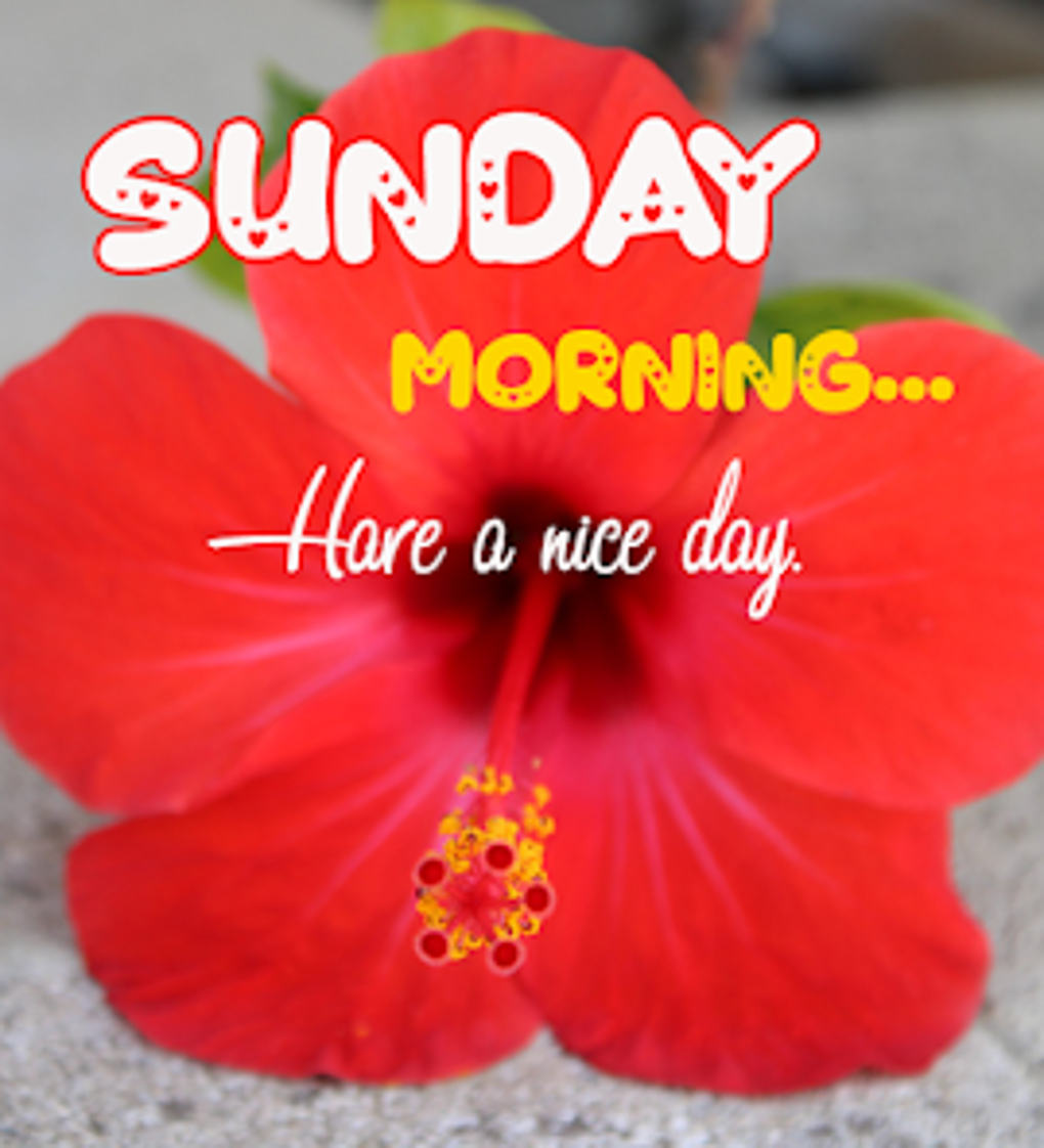 Android 용 Good Morning GIF Images - 다운로드