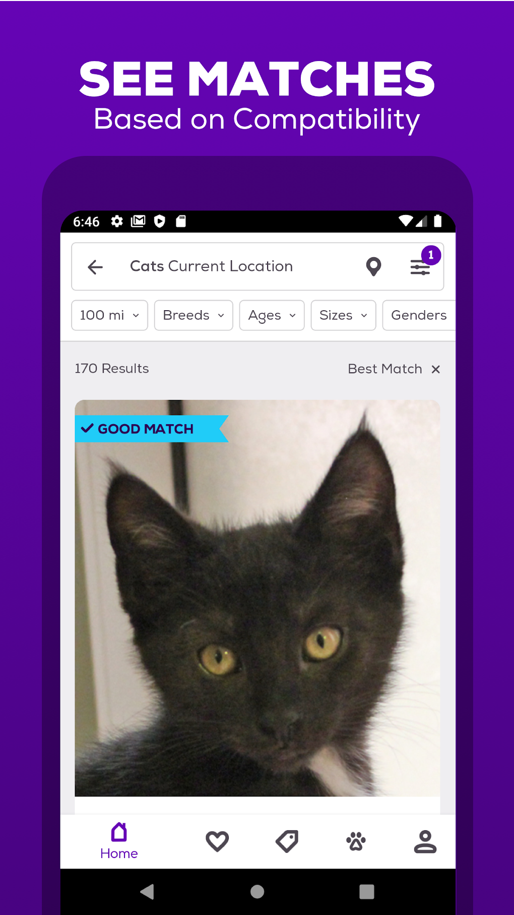 Petfinder - Adopt a Pet APK for Android - Download