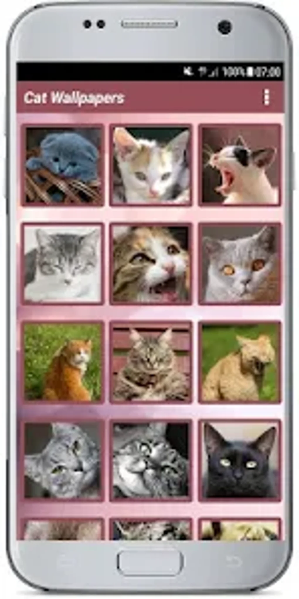 Cute Cat Wallpapers Para Android Descargar