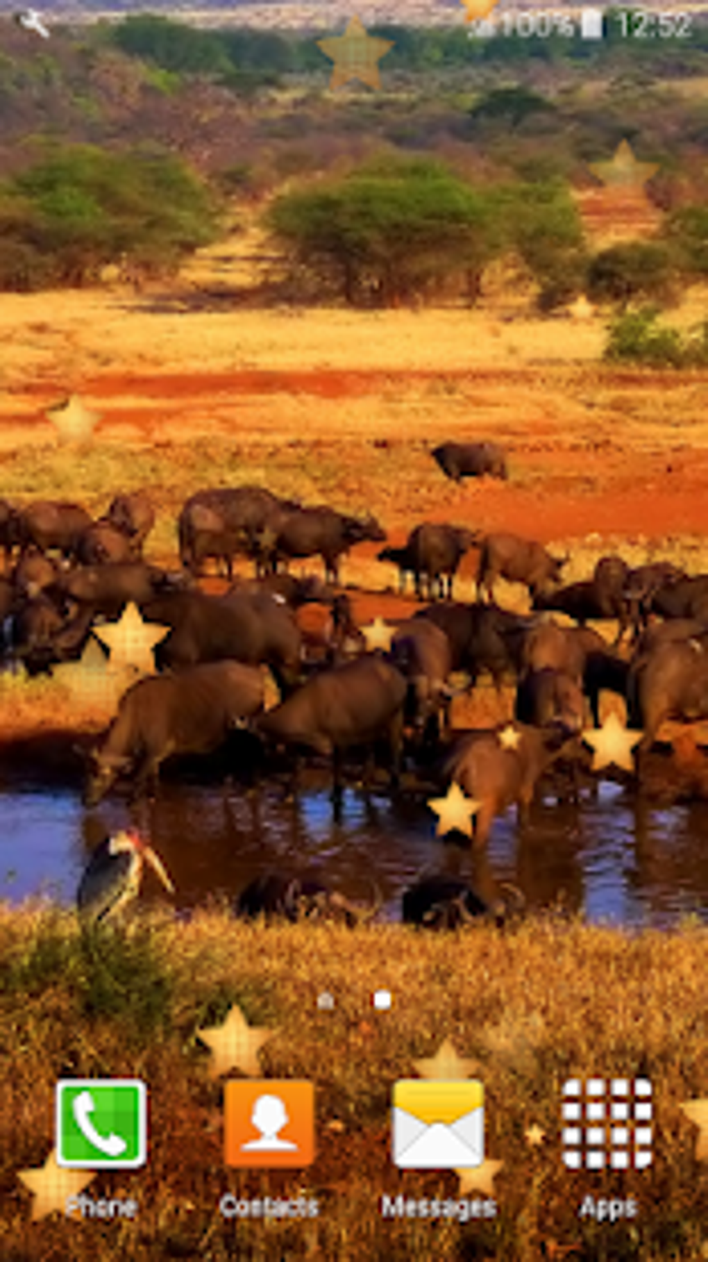 Safari Live Wallpapers APK for Android - Download