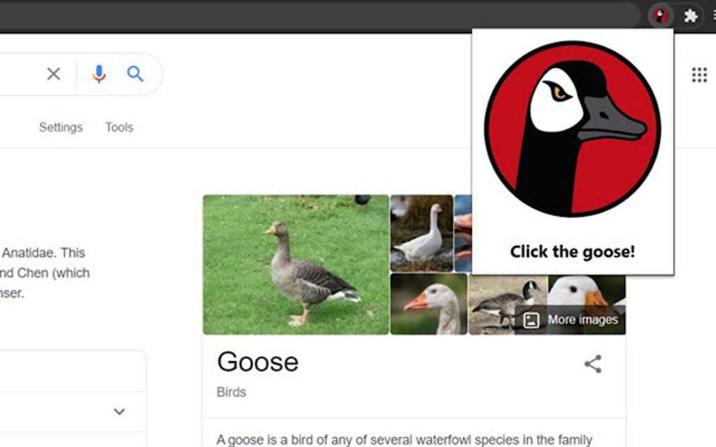 HONK! for Google Chrome - Extension Download