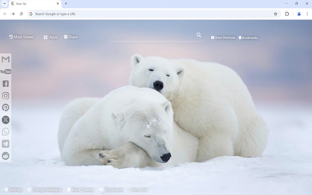 Polar Bear Wallpaper สำหรับ Google Chrome - ส่วนขยาย ดาวน์โหลด