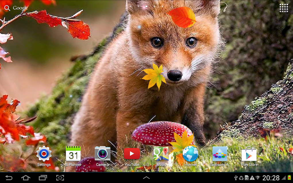 Autumn Live Wallpaper APK for Android - Download