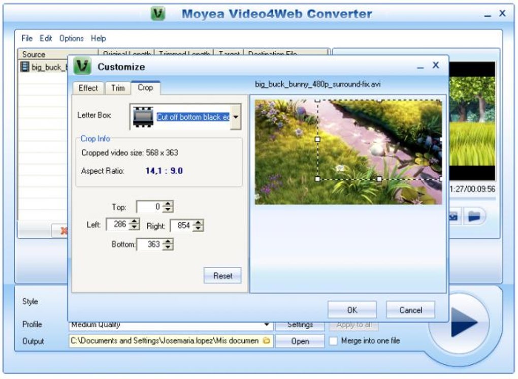 Moyea Video4Web Converter - Descargar