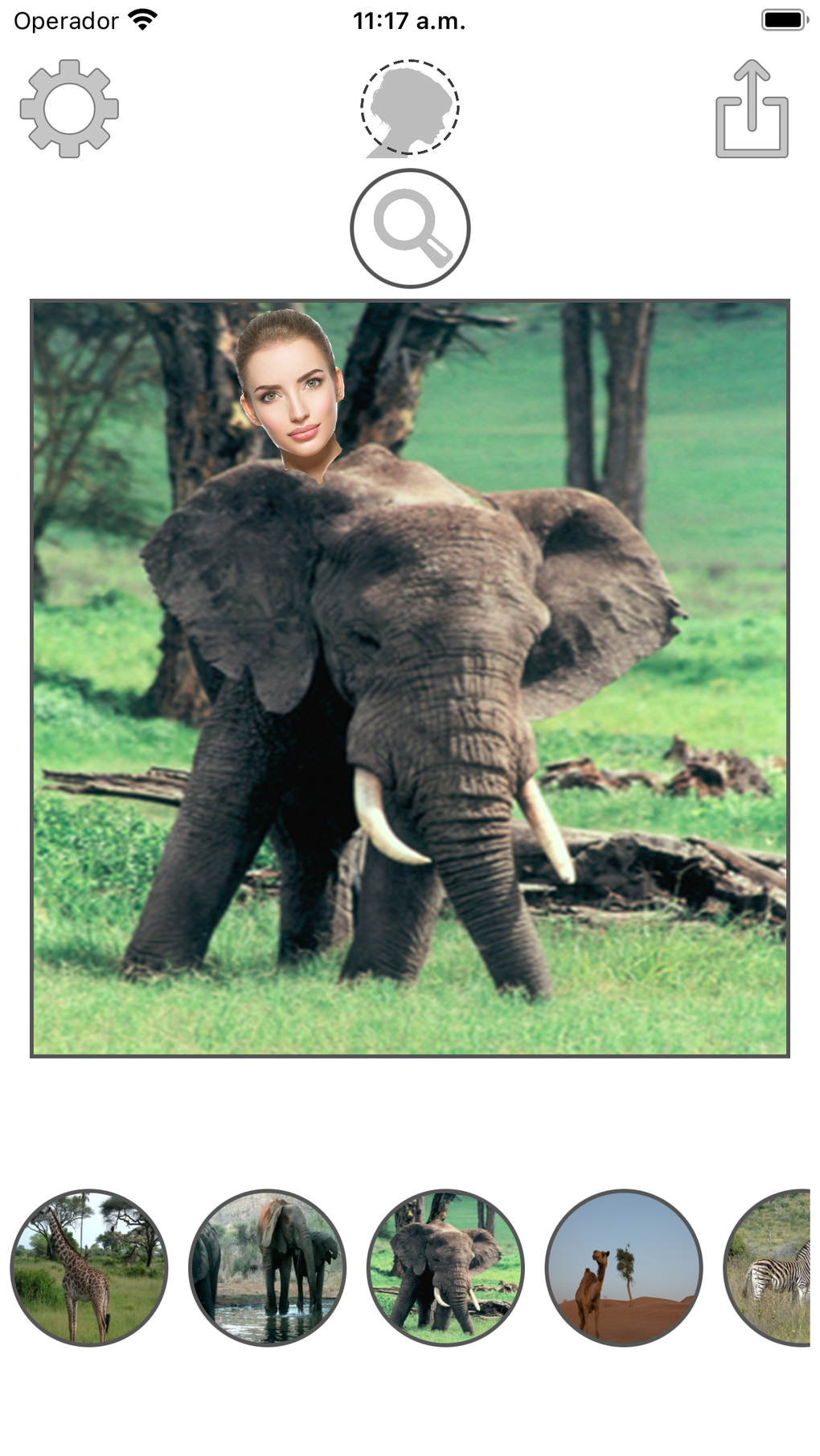 Animals montage with photos para iPhone - Descargar