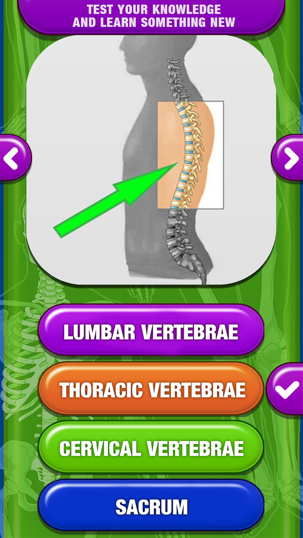 Human Body Anatomy Quiz Android 