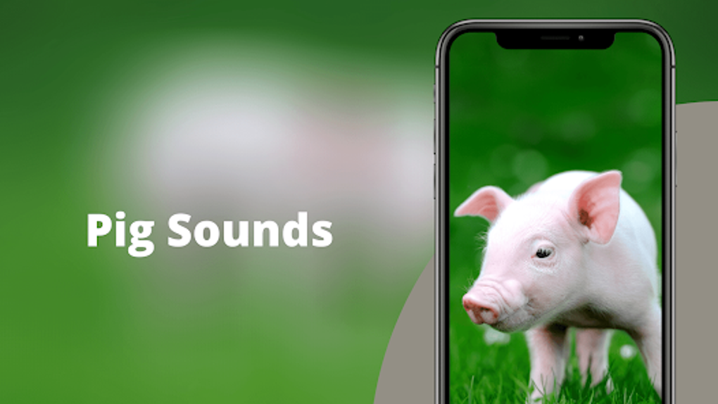 Pig Sounds for Android - Download