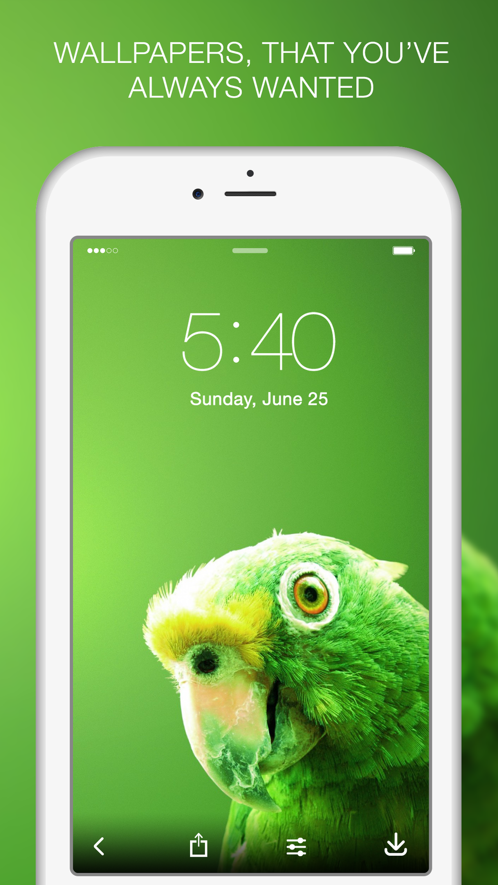 Green Wallpapers Green Backgrounds для iPhone — Скачать