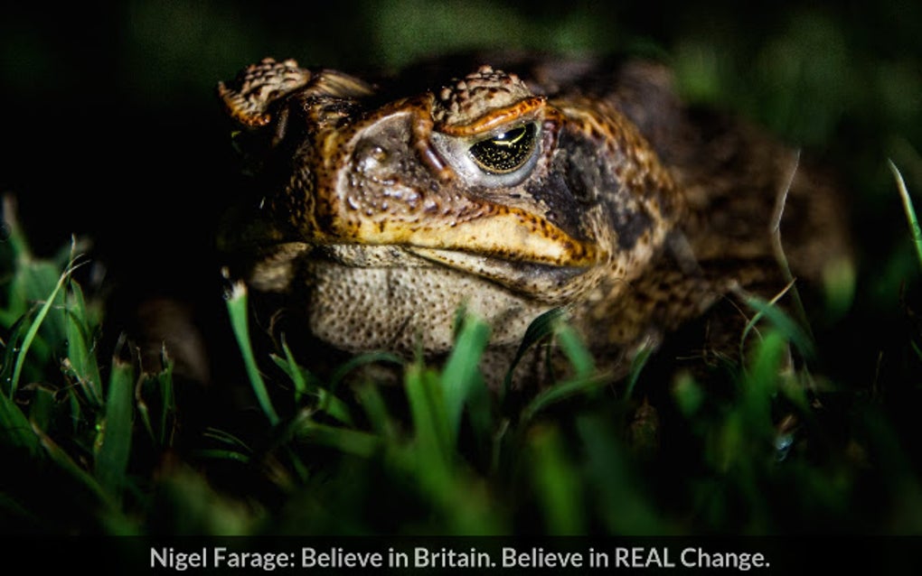 Frogage for Google Chrome - Extension Download