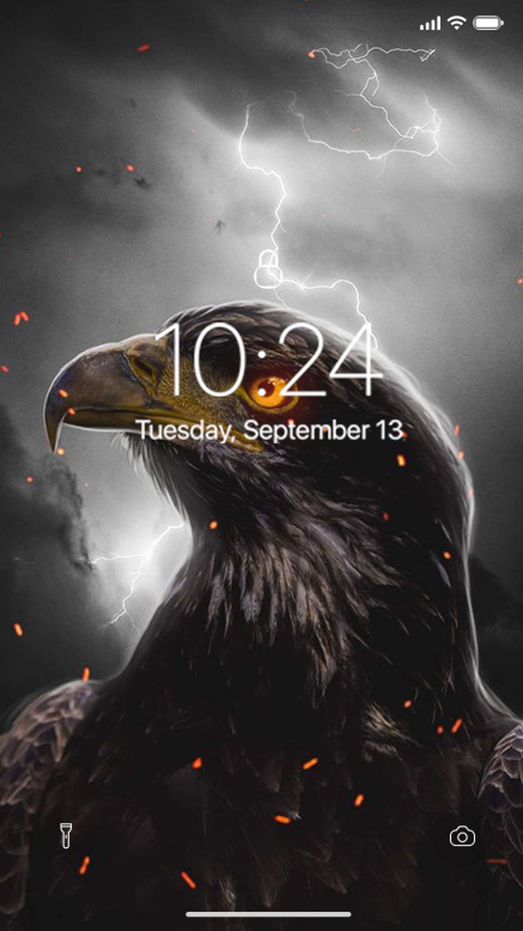 Eagle Wallpaper for Android - Download