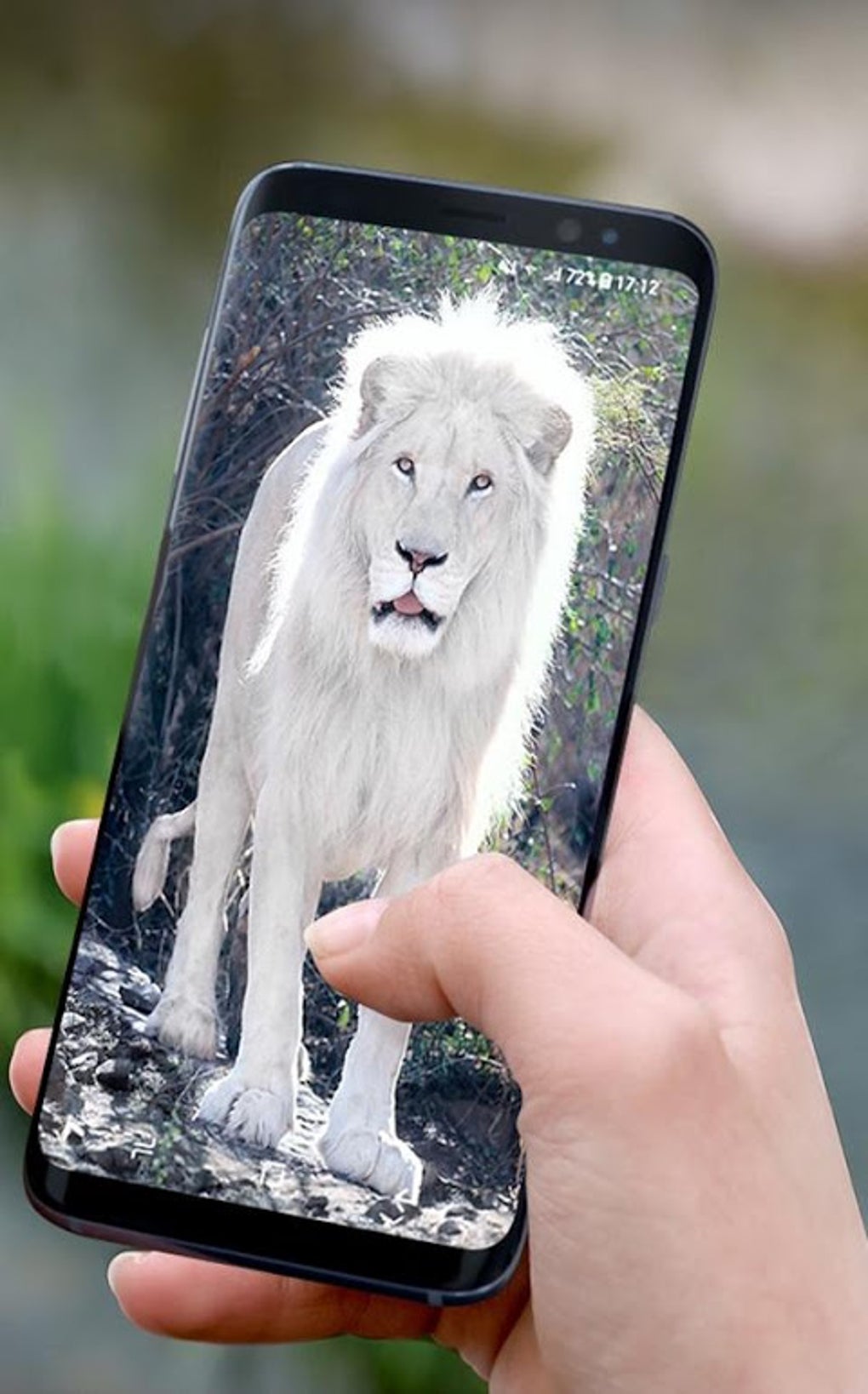 Android 용 White Lion Wallpaper HD APK - 다운로드