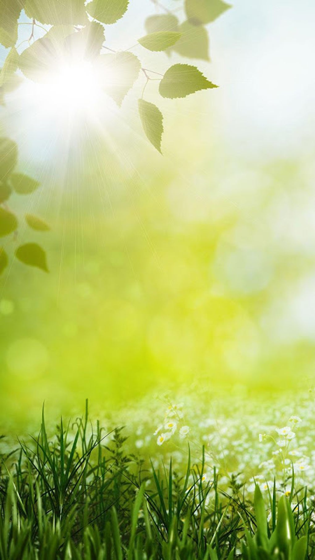 Spring Live Wallpaper APK for Android - Download