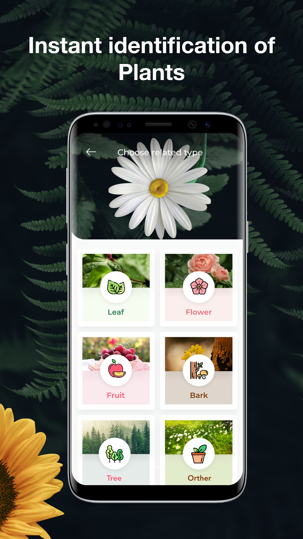 Android I in LeafSnap Plant Identification ndir Android I in LeafSnap Plant Identification ndir