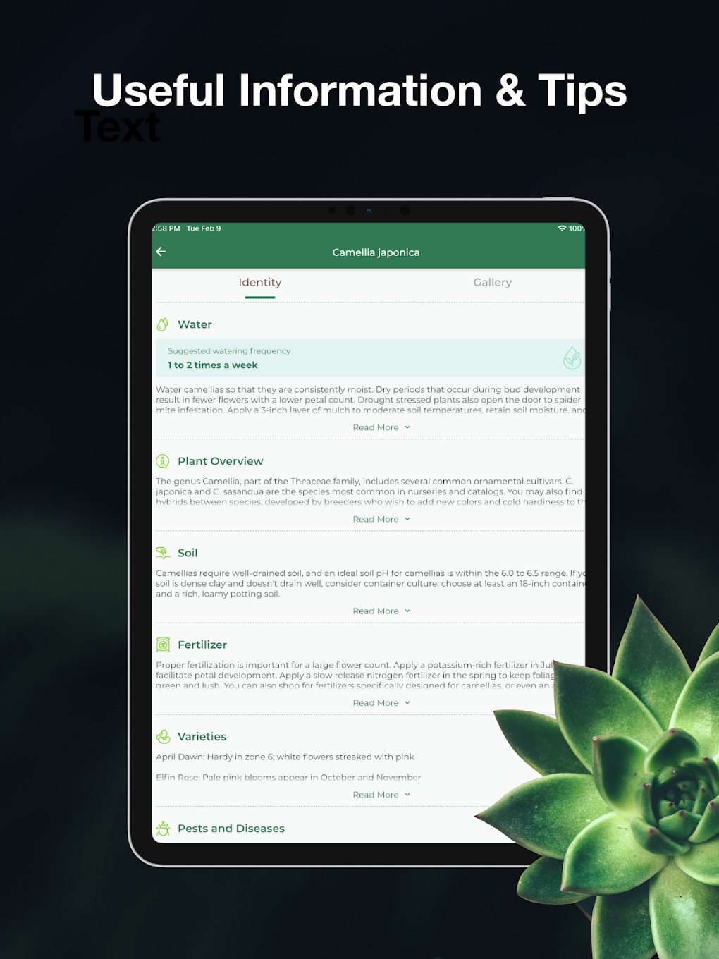 LeafSnap Plant Identification For Android Download LeafSnap Plant Identification For Android Download