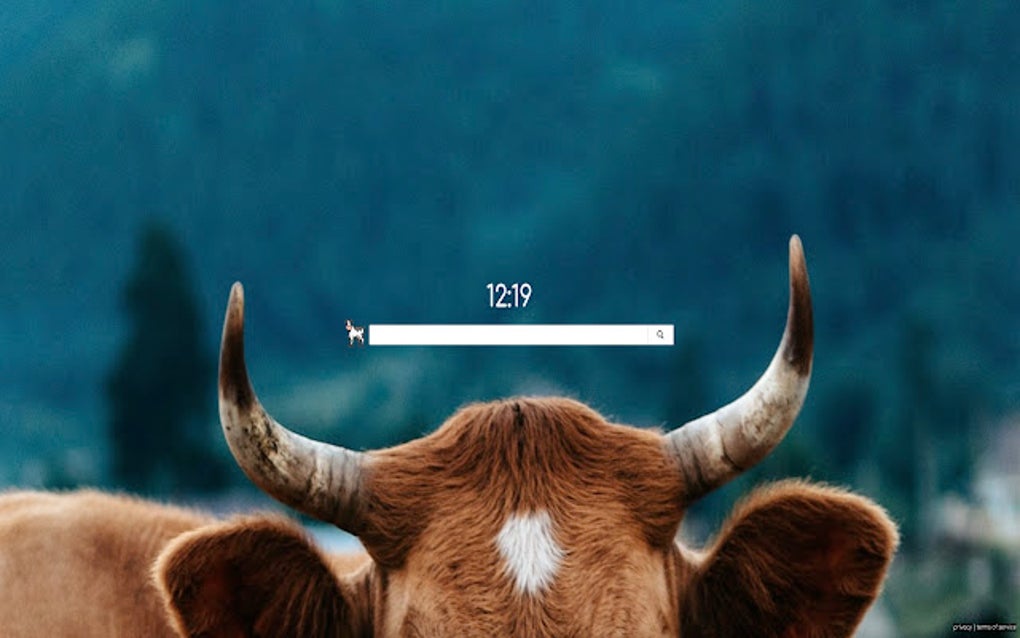 Cows Backgrounds para Google Chrome - Extensión Descargar