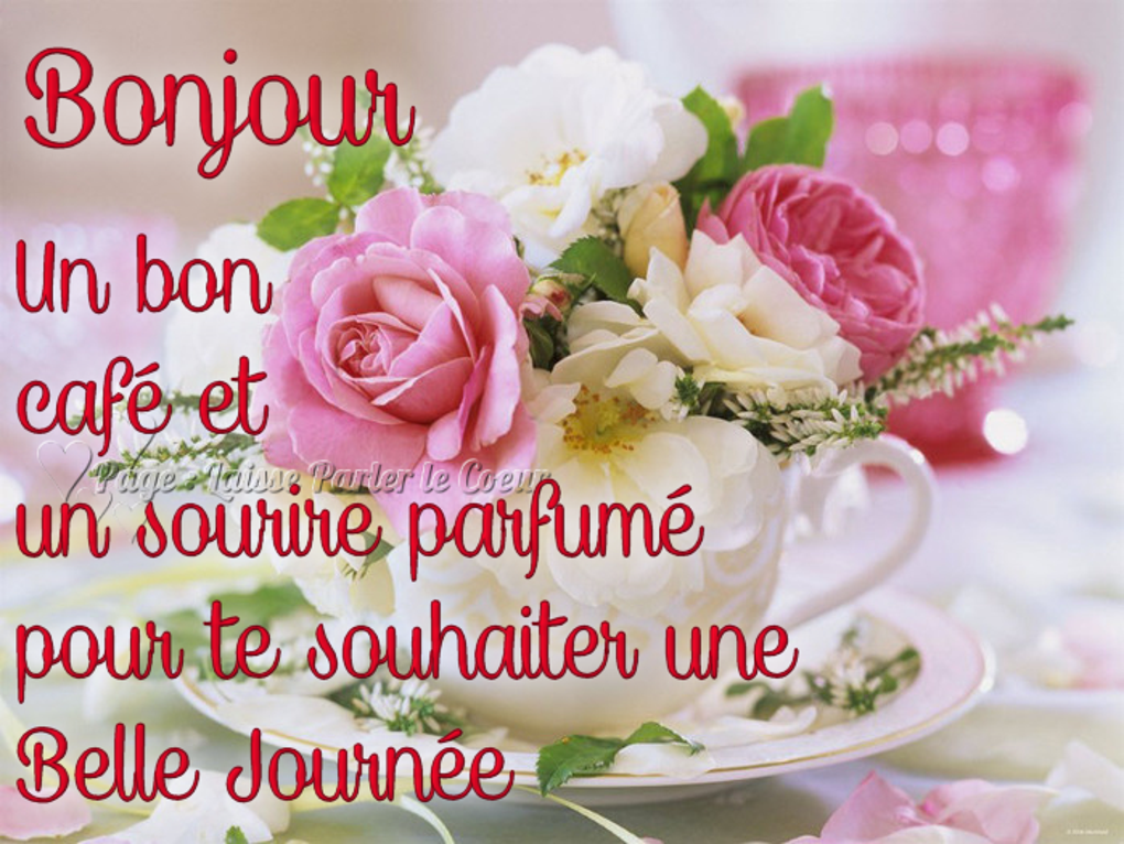 Bonjour Bonsoir Bonne Nuit for Android - Download