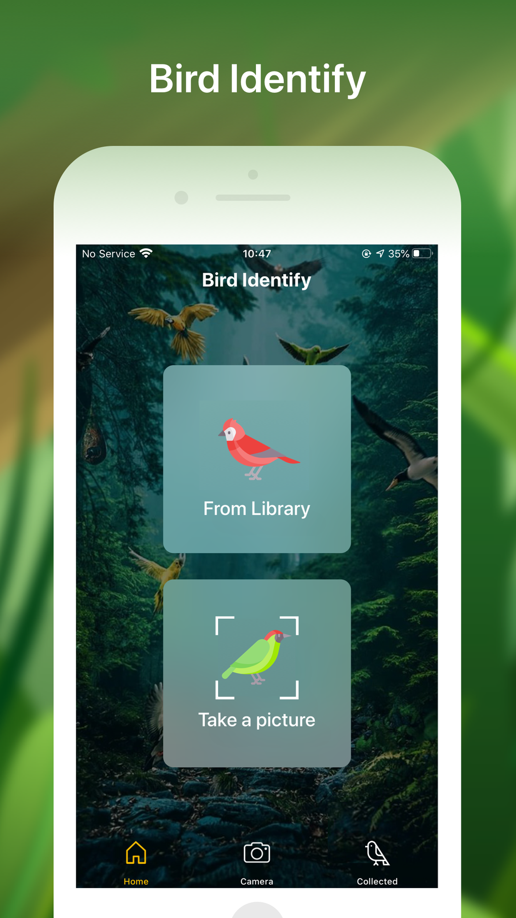 Bird identifier Bird Finder para iPhone - Descargar