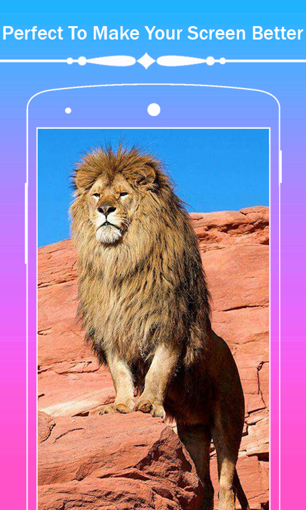 Lion HD Wallpapers APK for Android - Download