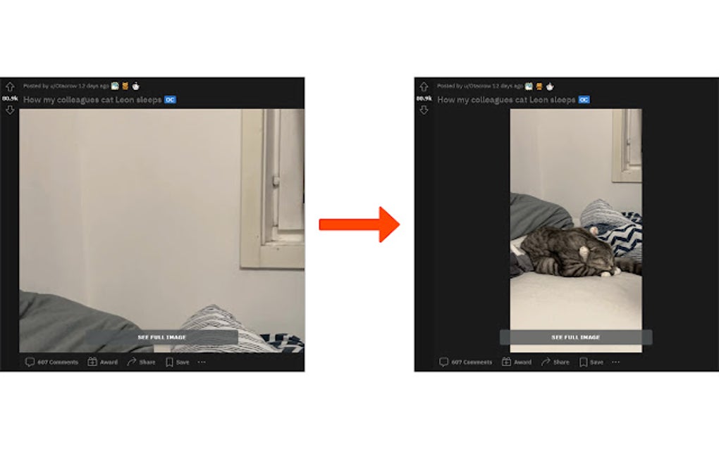 Reddit Full Image Preview for Google Chrome - Extension Download