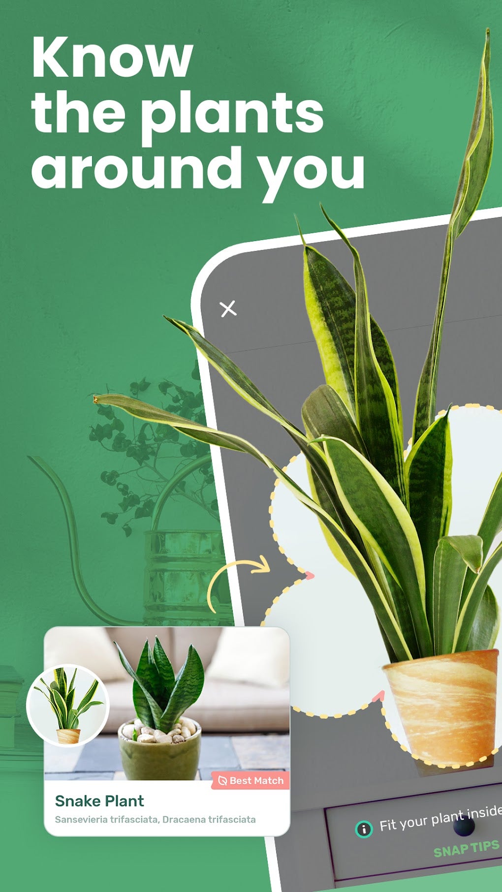 Blossom Plant Identification Per Android Download