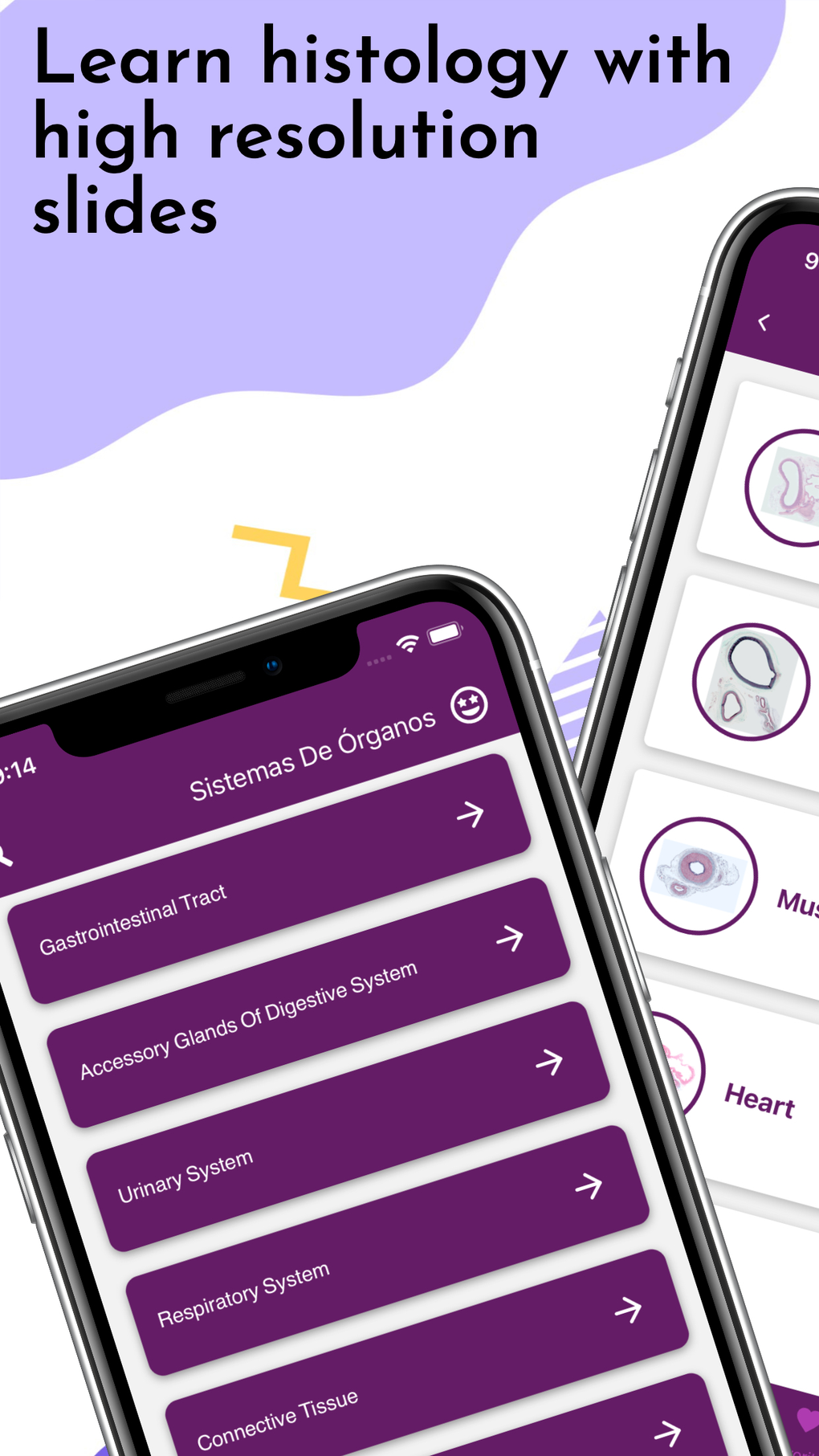 Ehistolab - Histology Slides for iPhone - Download