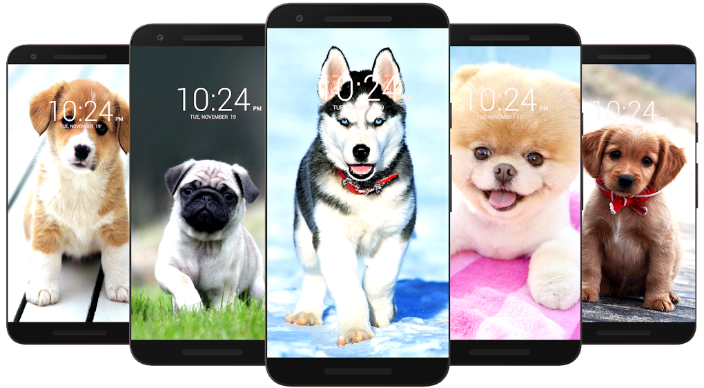 Android 용 Puppy Dog Wallpaper HD - 다운로드