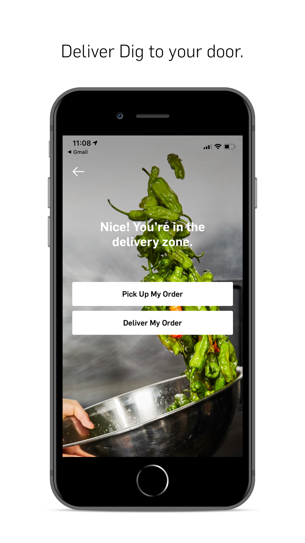 DIG Seasonal fresh food for iPhone - Download
