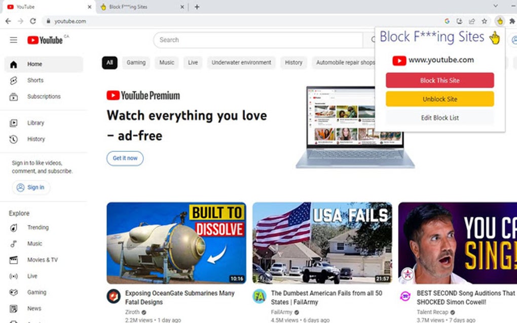 Block F**king Sites for Google Chrome - Extension Download