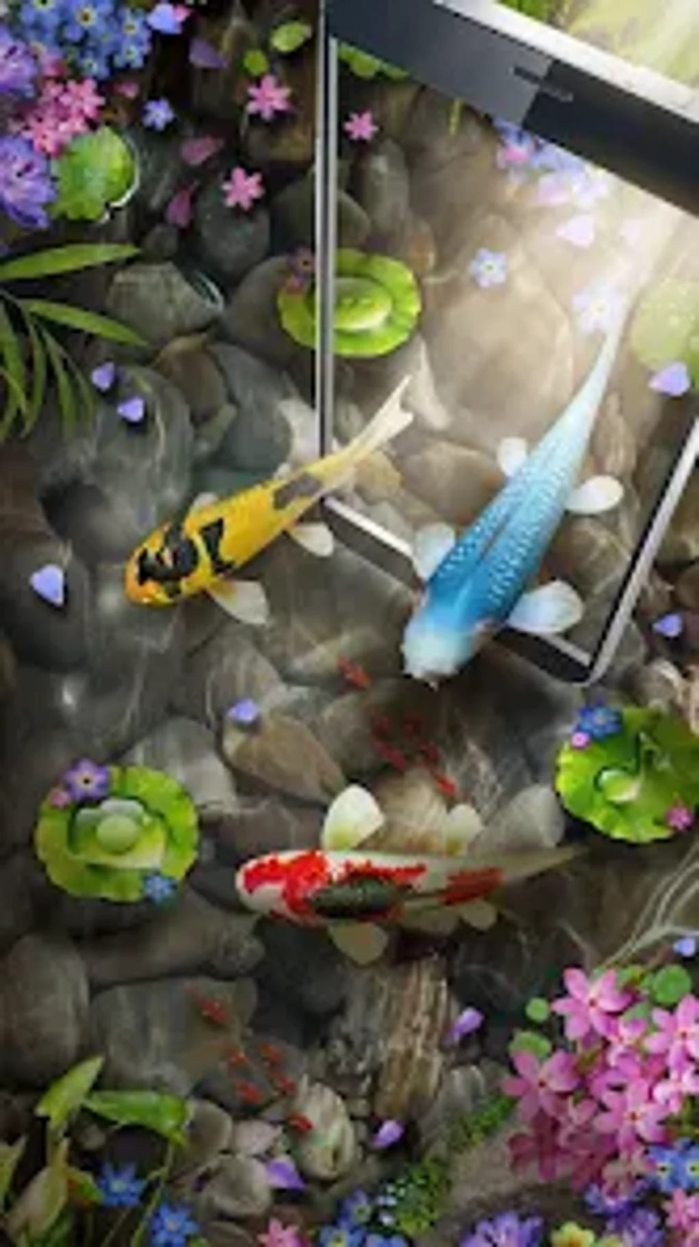 Lively Koi Fish 3D Theme para Android - Descargar