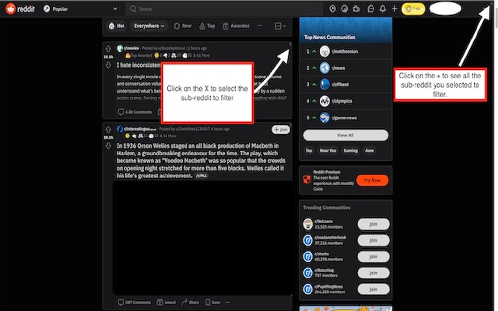 Reddit Filter for Google Chrome - Extension Download