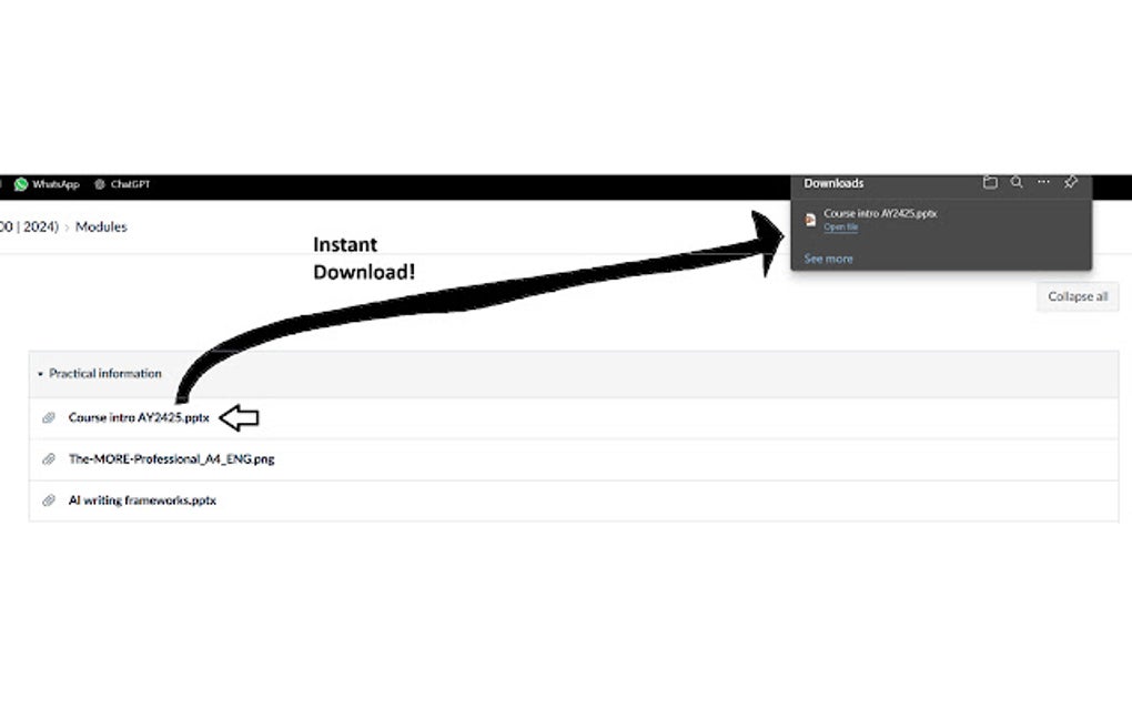 InstantDownload for Canvas para Google Chrome - Extensión Descargar