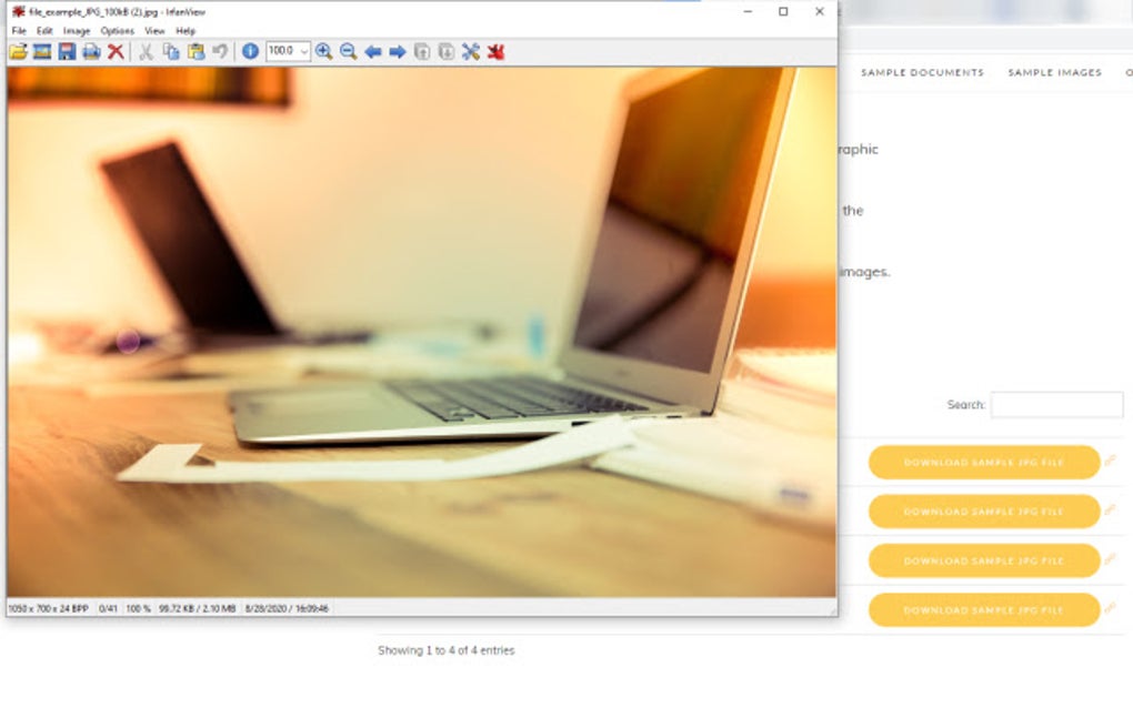 Open With IrfanView for Google Chrome - Extension Download