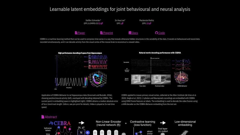 Cebra for AI Video generator & editor: review, features & use cases