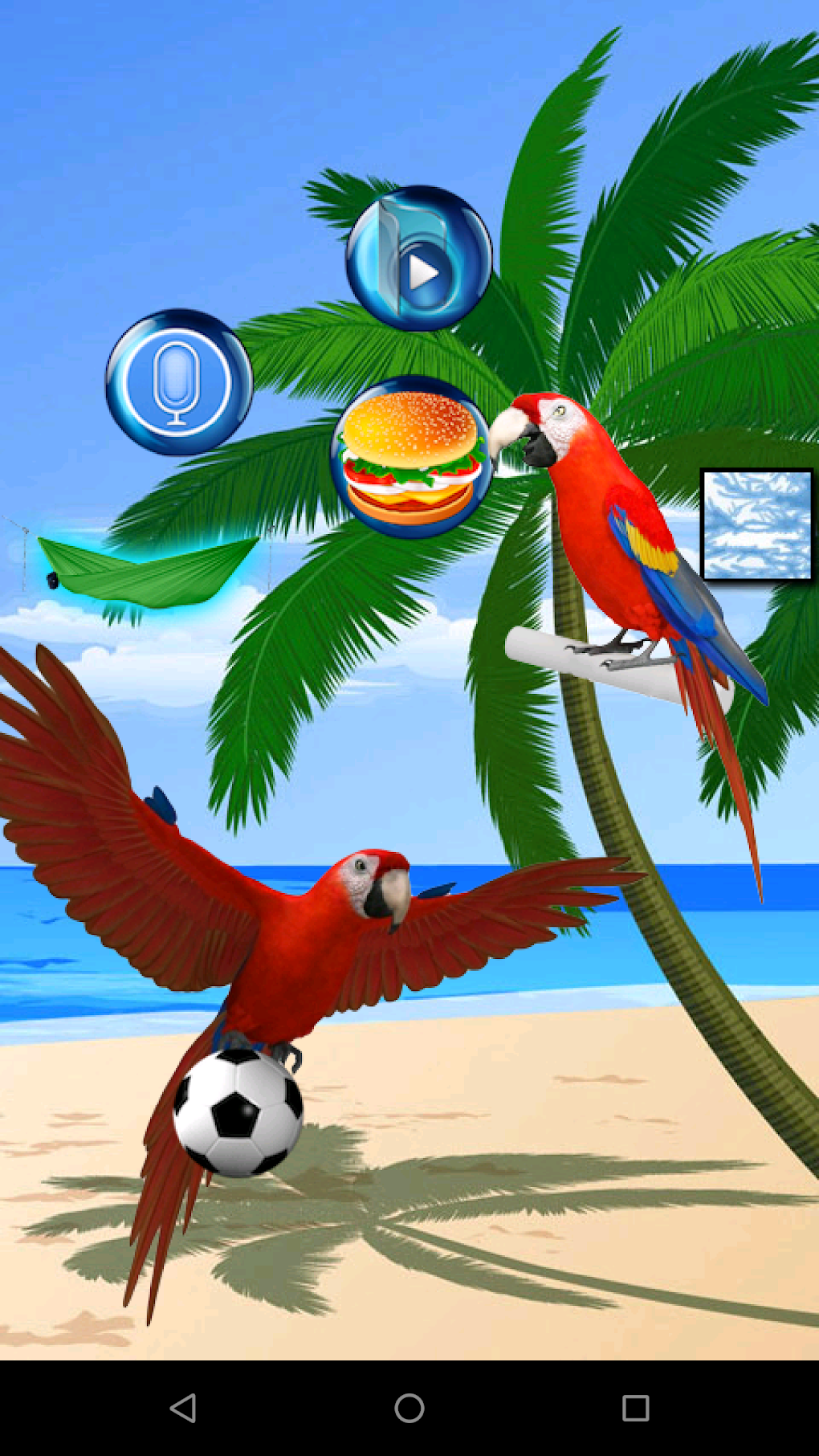 Talking Parrot 2 APK for Android - Download