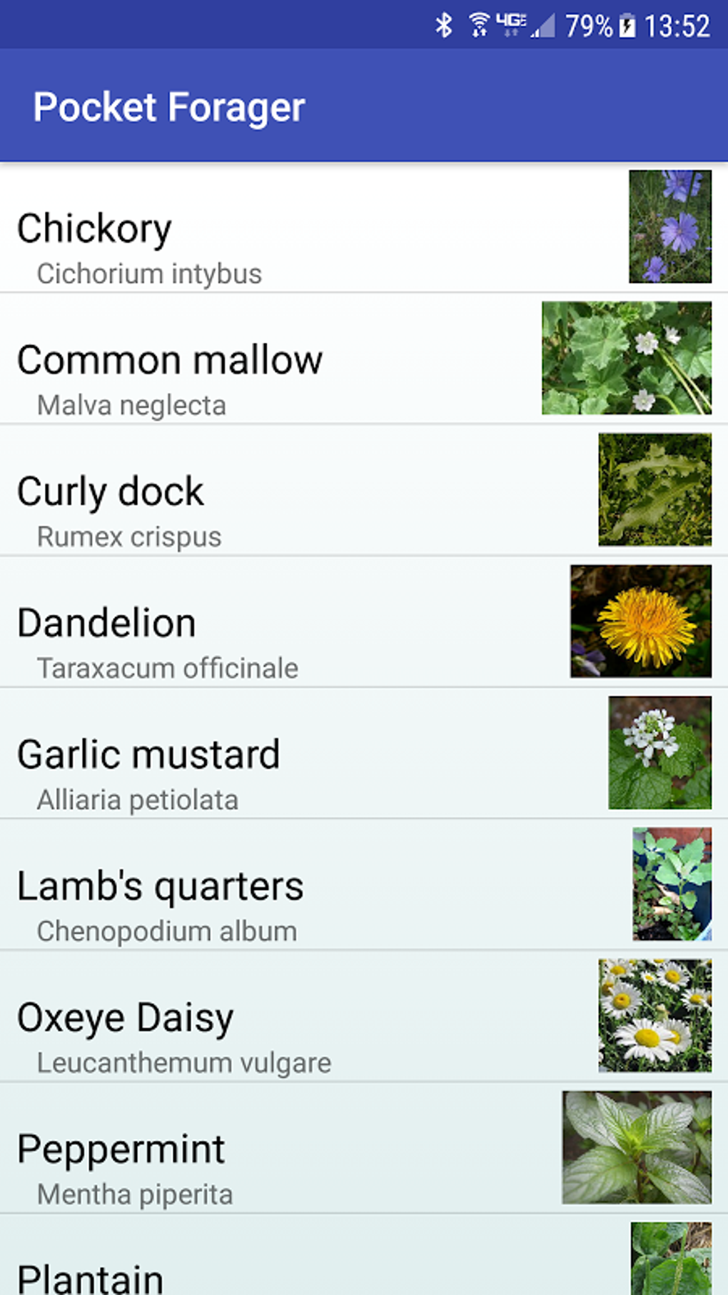 Android için Pocket Forager APK - İndir