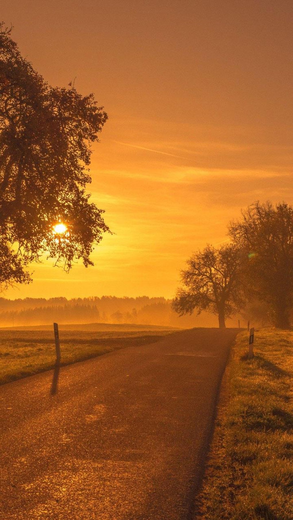 Android 용 Sunrise Live Wallpaper APK - 다운로드