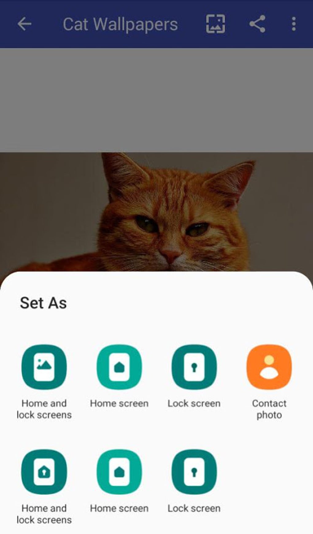 Cat Wallpapers HD APK per Android - Download