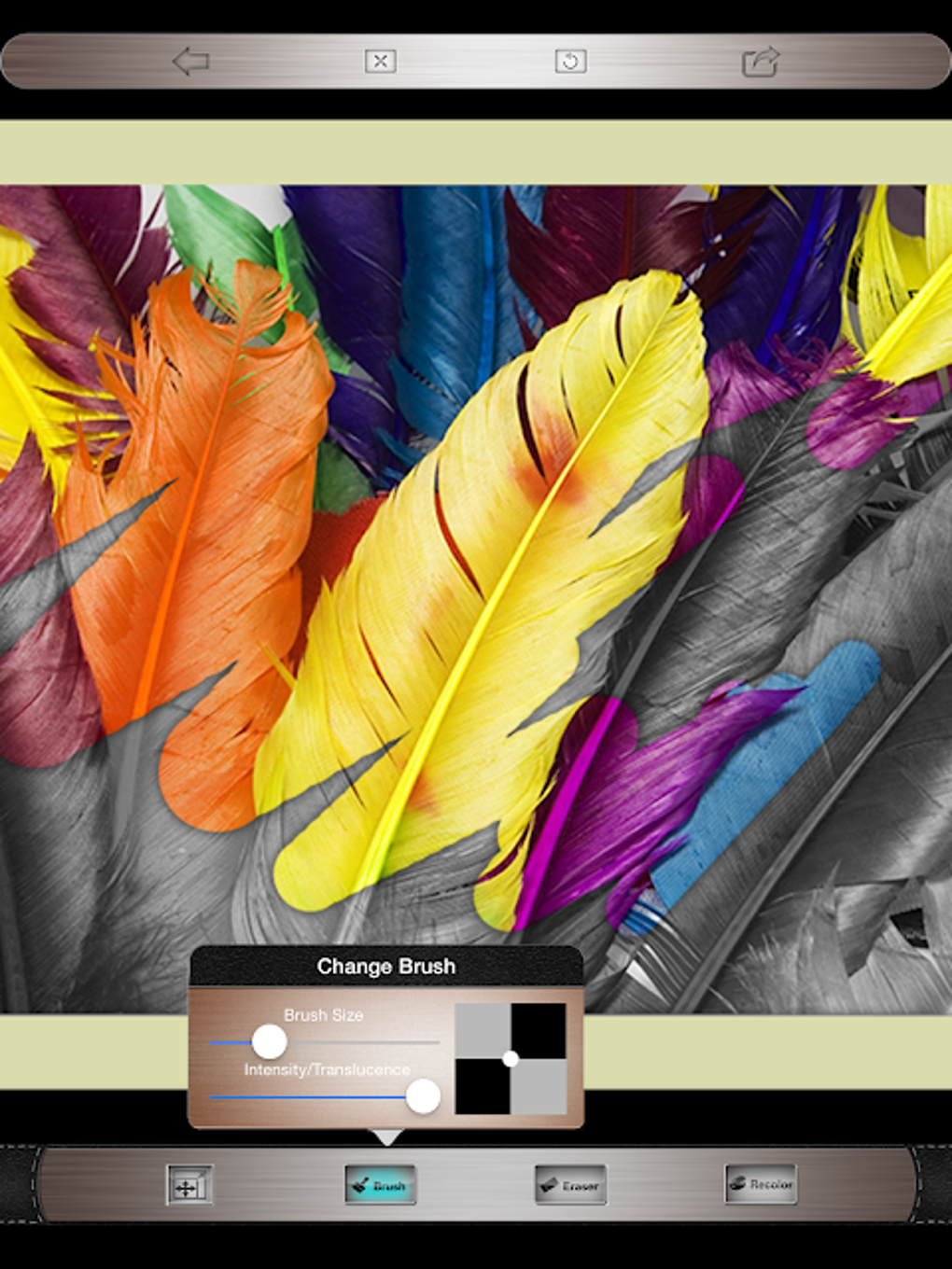 Colour Splash Effect Photo Art APK for Android - Download