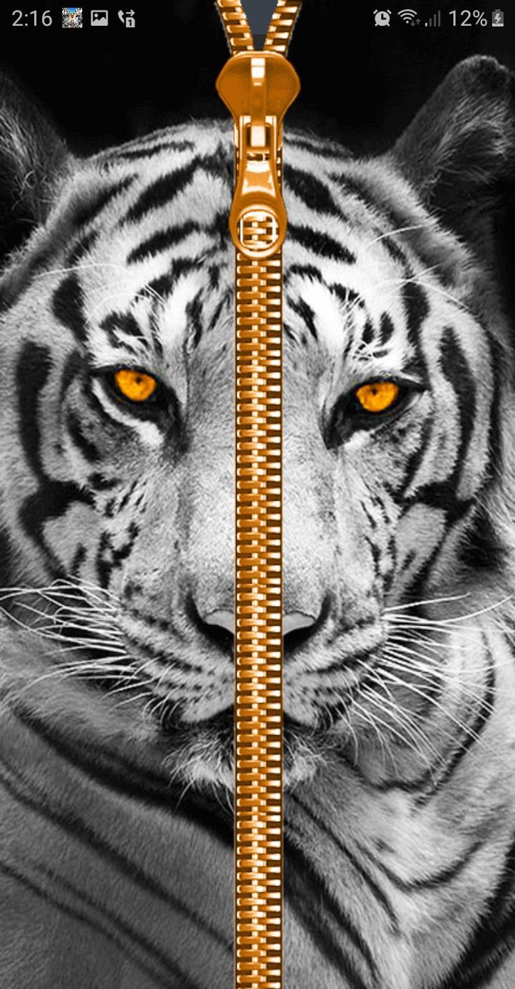 Wild Kitty Zipper Lock Screen for Android - Download