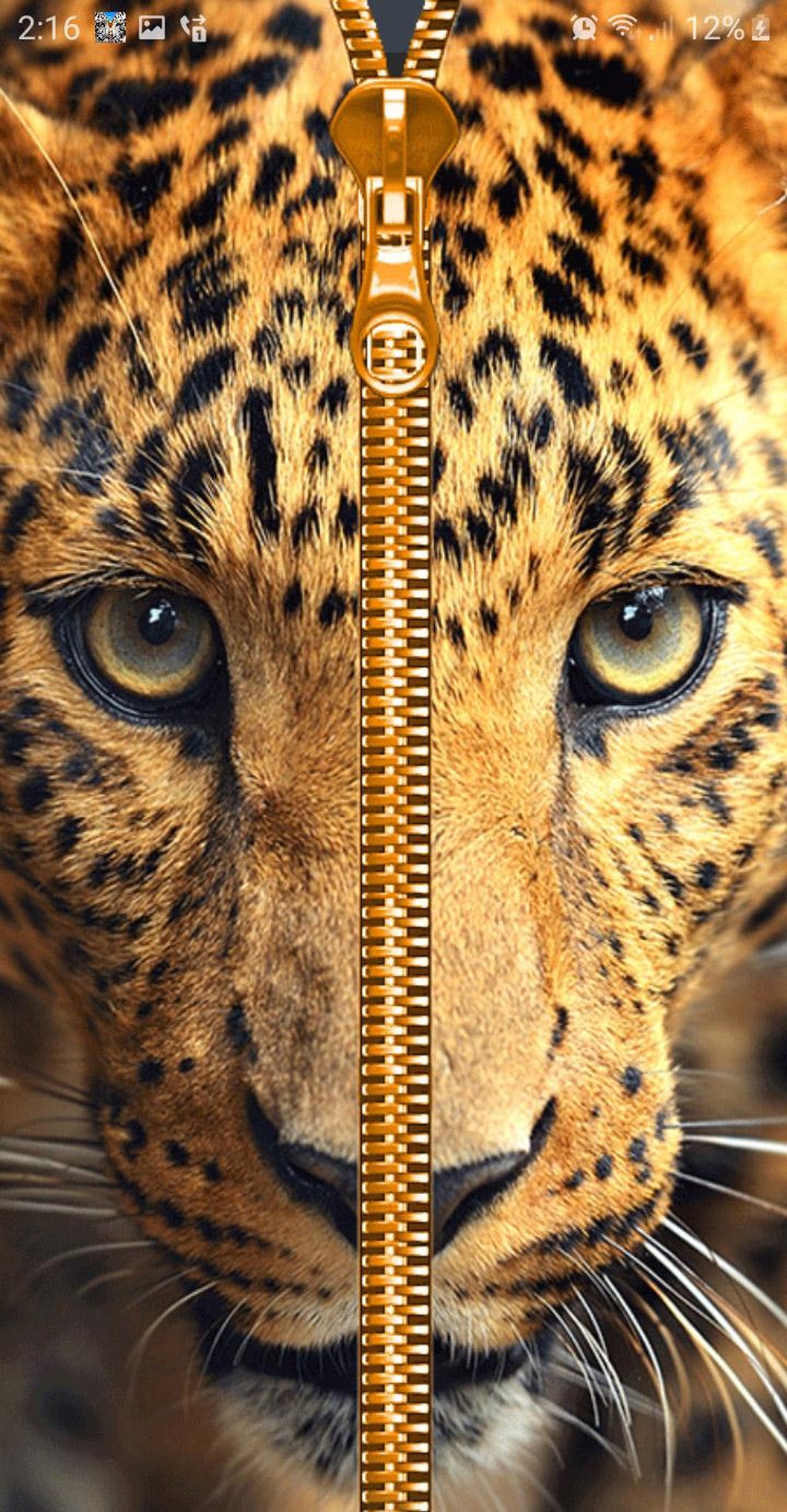 Wild Kitty Zipper Lock Screen for Android - Download